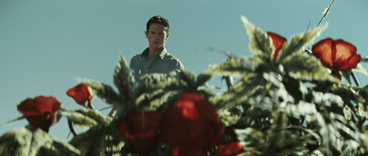 As Ruinas | FINAL EXPLICADO (e final alternativo) do filme que está na ...